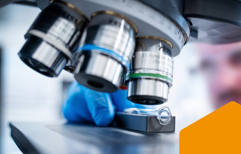 Analytical and Testing Services - Stevanato Group