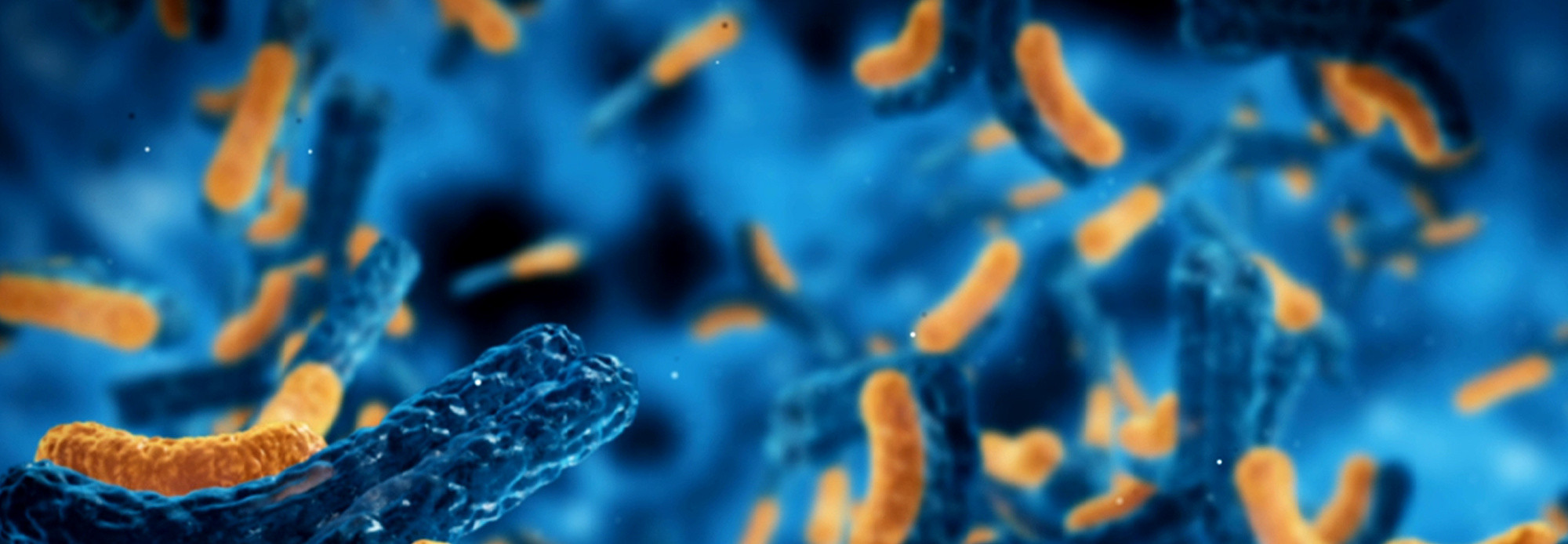 mAbs - Stevanato Group