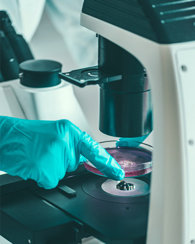 The surge of the Biologic Drugs: new-generation medicine and its ...